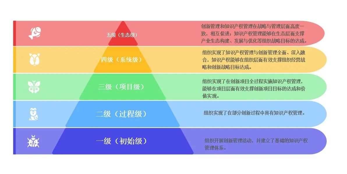 ISO 56005国际标准|带你快速了解-专利代理机构